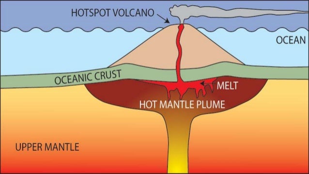Ii. c. endogenic processes
