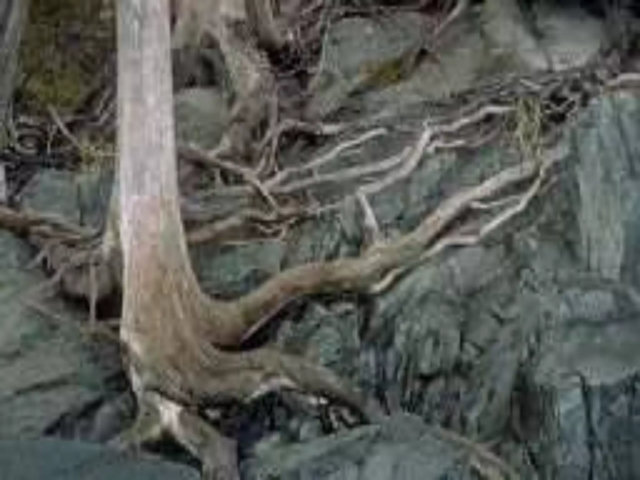 Earth Materials and Processes : EXOGENIC PROCESS | PPTX