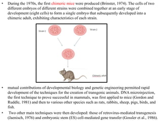 transgenic animals with desired traits | PPTX