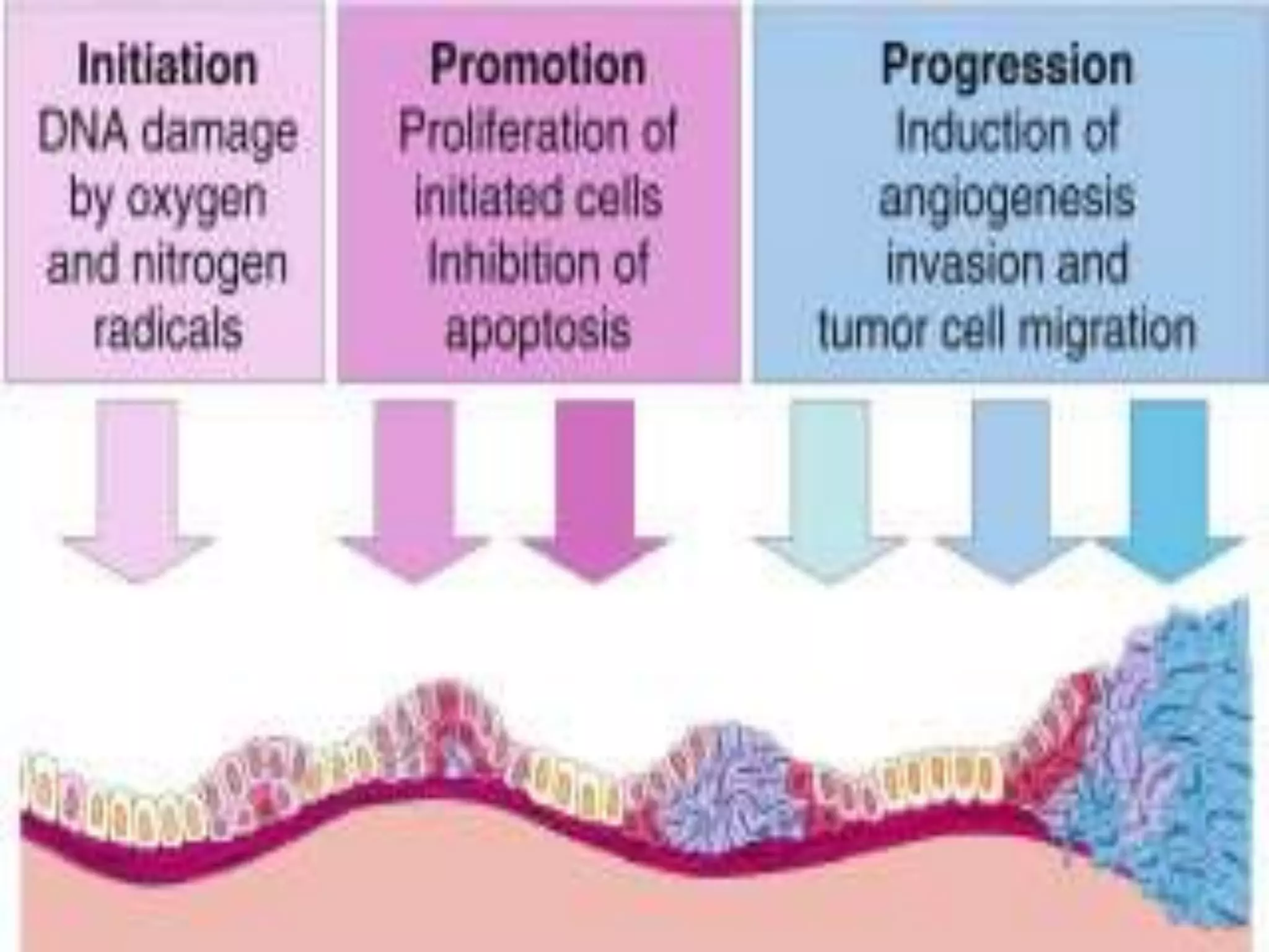 II. Introduction to cellular aberration.pptx
