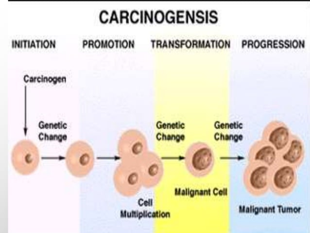 II. Introduction to cellular aberration.pptx | Cancer | Diseases and ...
