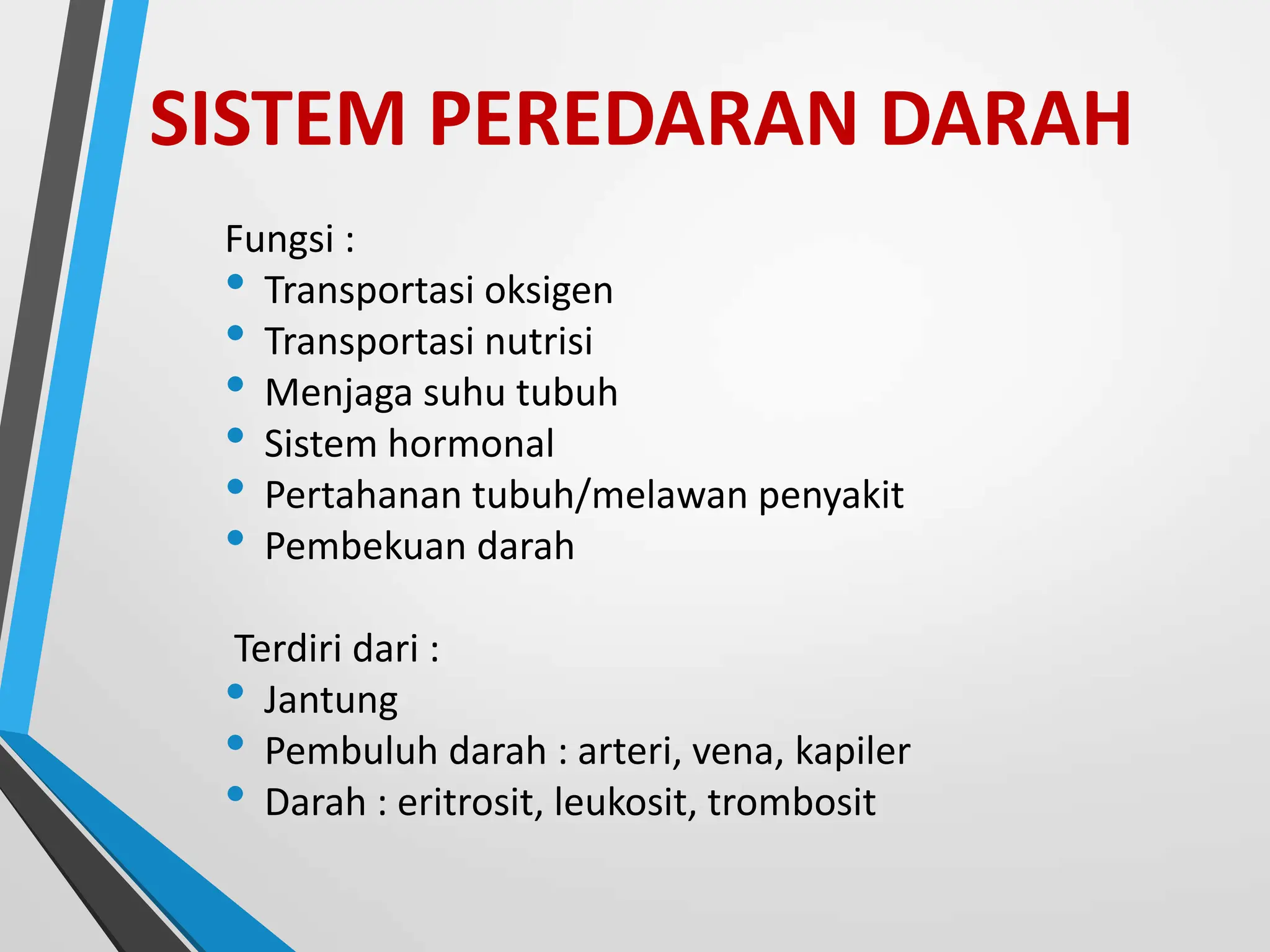 Anatomi Fisiologi Tubuh Manusia (Anatomy and Physiology of the Human ...