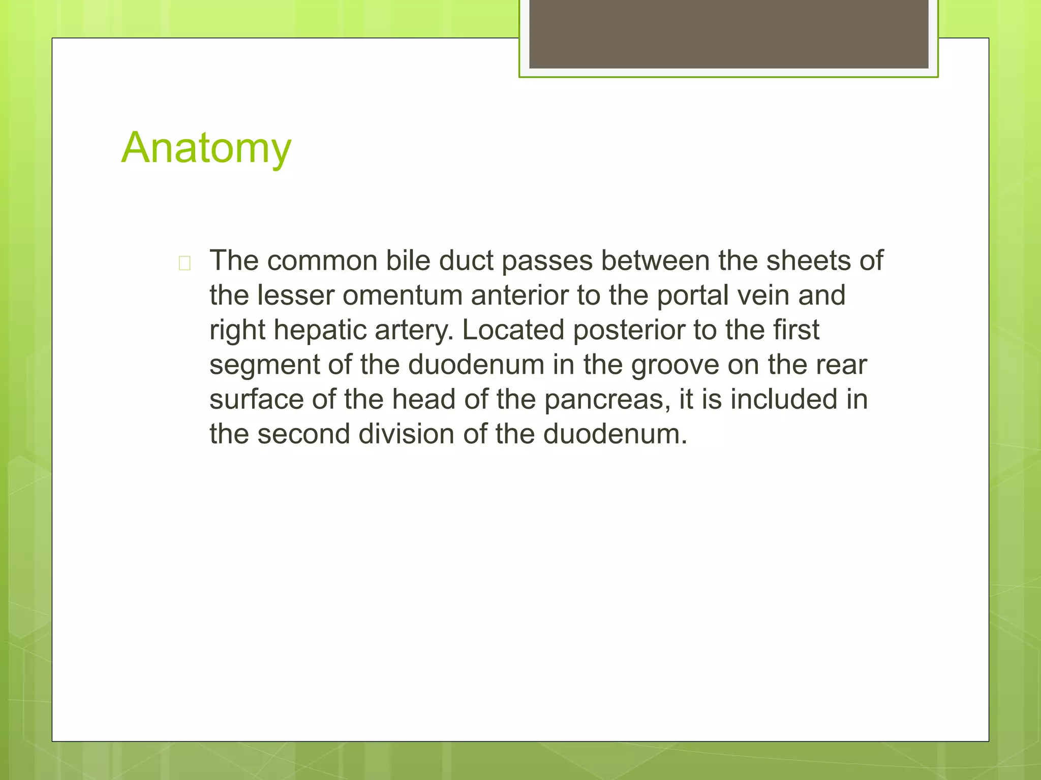 Anatomy of gall bladder and excretory bile ducts | PPTX