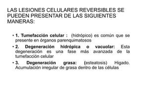 Lesión celular morfofisiologia y patología.pptx