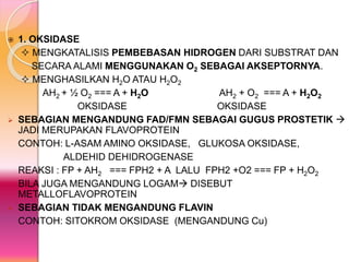Ii oksidasi biologi dan siklus krebs | PPTX
