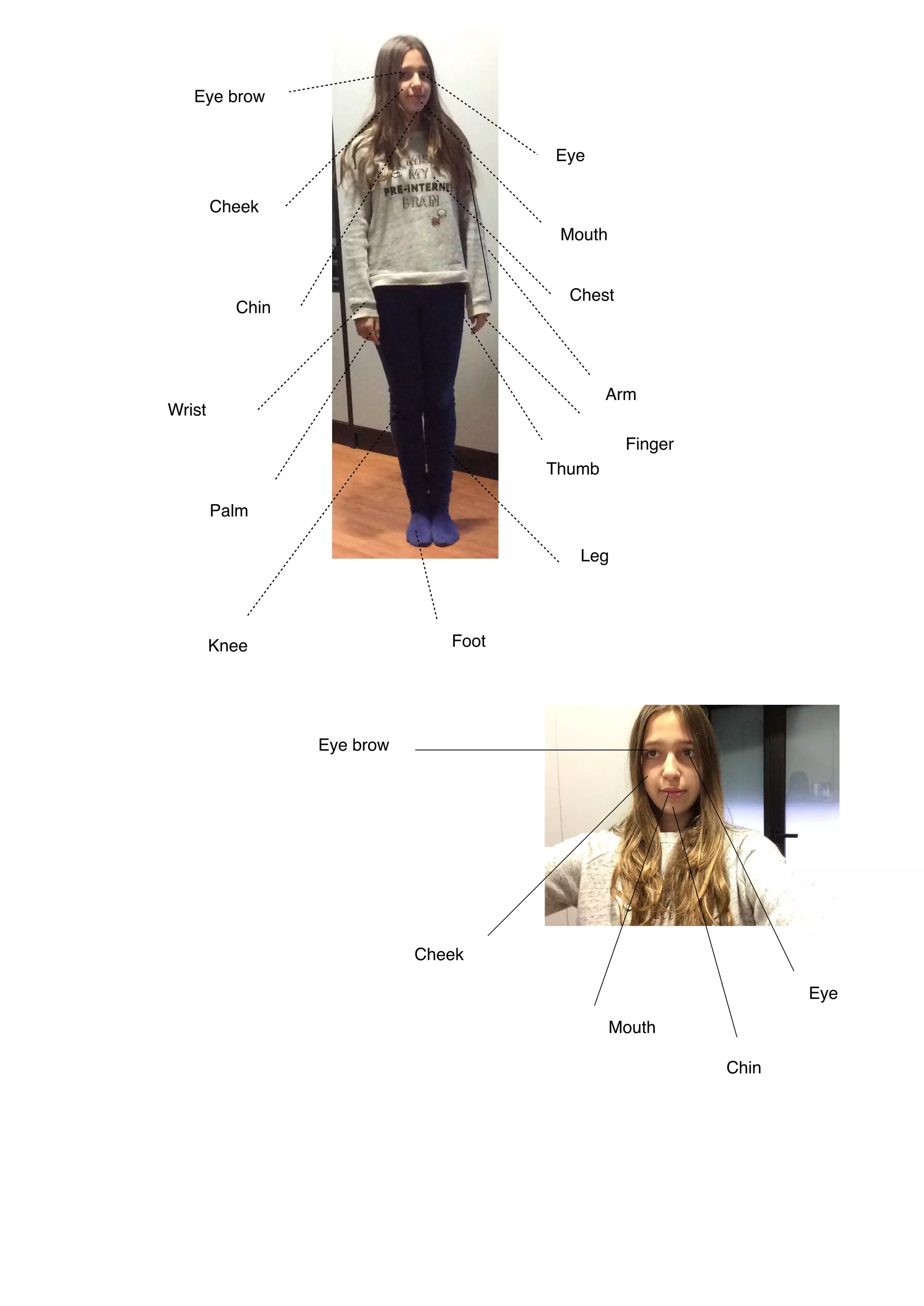 My parts of the body | PDF