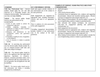 IIA standards | PDF