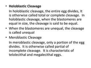 Developmental Biology | PPTX | Biological Sciences | Science