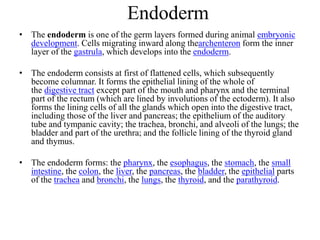 Developmental Biology | PPTX