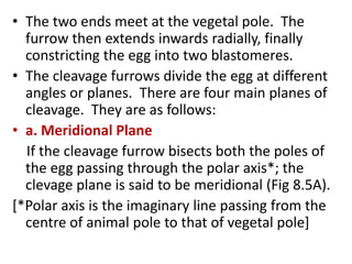 Developmental Biology | PPTX