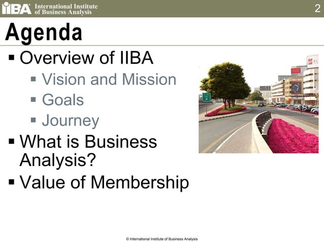 Generic IIBA Member Presentation | PPT