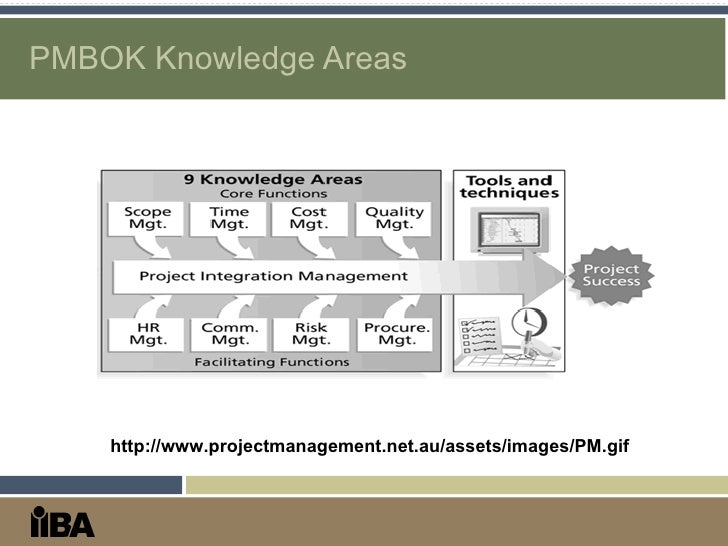 BAs IIBA and the BABOK