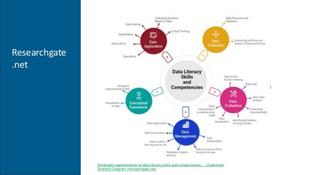 IIBA Data Literacy.pdf