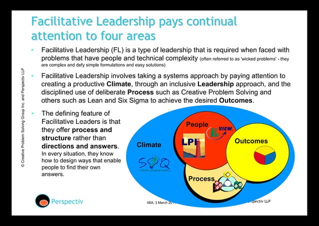 Facilitative Leadership & Creative Problem Solving | PDF | Executive ...