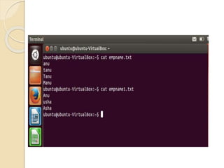 II BCA OS pipes and filters.pptx