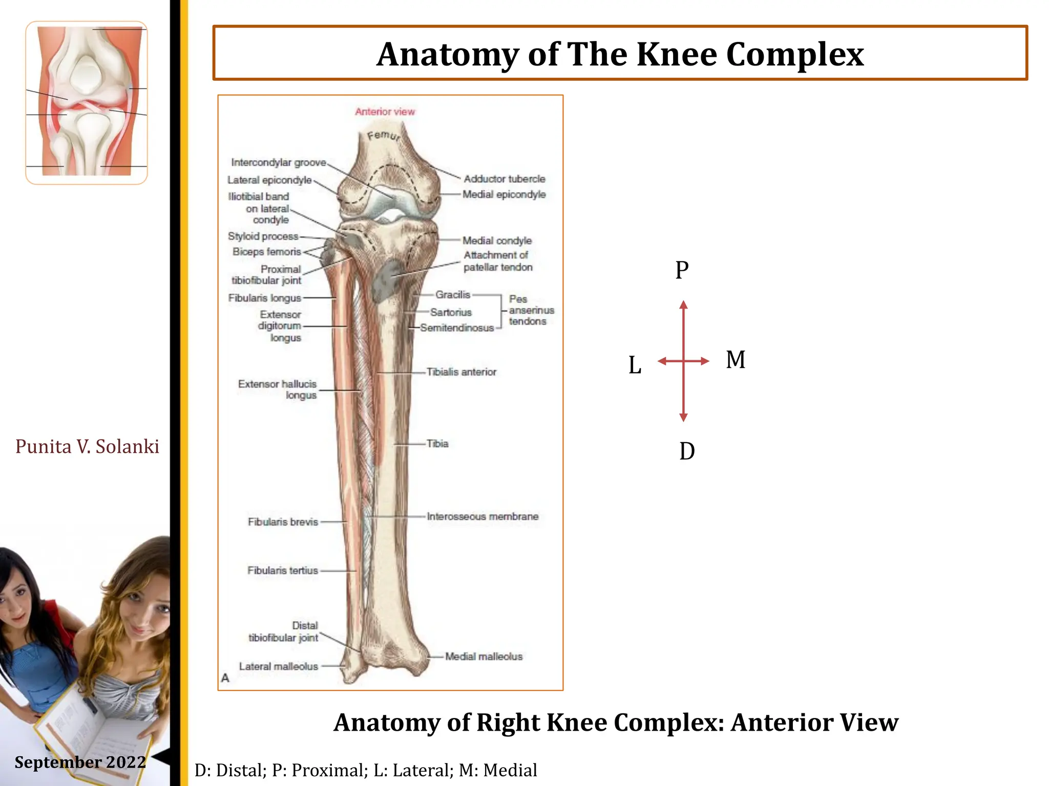 II BOT_Knee Biomechanics and Applied Anatomy_Punita V. Solanki_11.09. ...