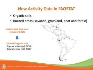 The FAOSTAT Emission Database: A platform for GHG reporting | PPT