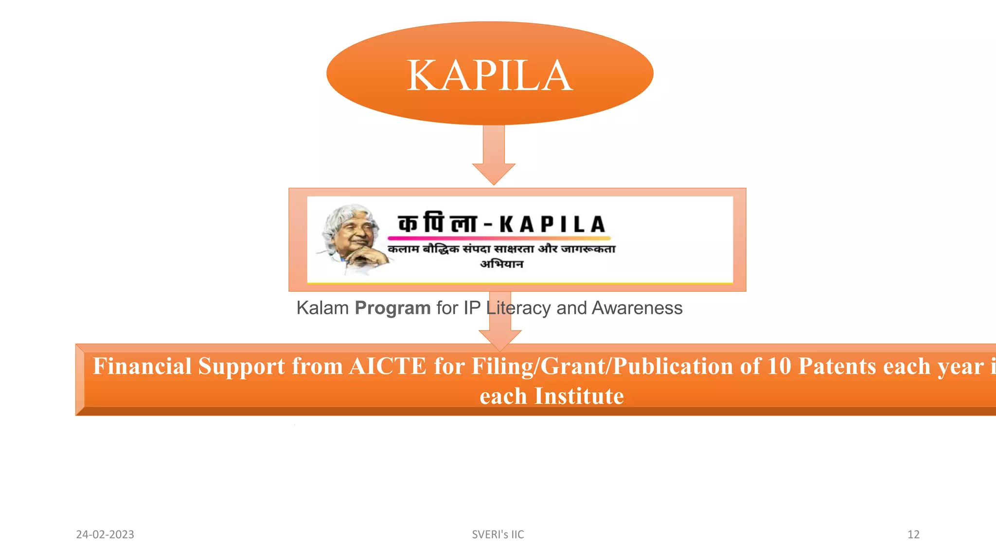 IIC Presentation.pptx