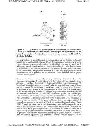 Fabricación de Proteínas | PDF