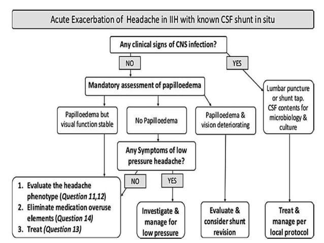IDIOPATHIC INTRACRANIAL HYPERTENSION | PPTX | Brain and Nervous System ...