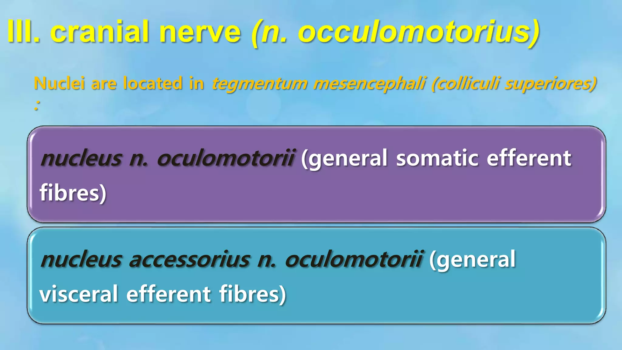 III., IV. and VI. cranial nerves | PPSX