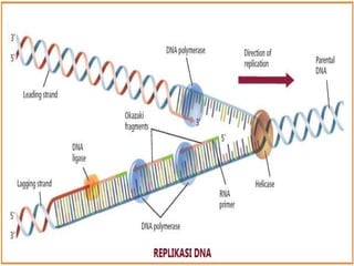 III. Replikasi dan ekspresi Gen.ppt