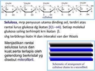 Karbohidrat-2.ppt
