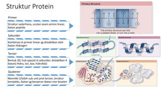 Biomolekul ( Karbohidrat, Protein, Lemak, Asam Nukleat) | PPT