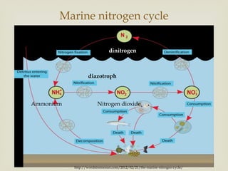 The chemistry of the marine environment is a complex aspect of the ...