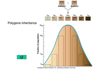 Iii. genetics sts biology | PPTX