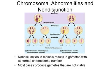 Iii. genetics sts biology | PPTX