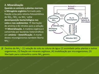 Curso de Biogeoquímica de Sedimentos Aquáticos - Parte III | PDF