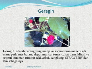 Iii. reproduksi tumbuhan | PDF