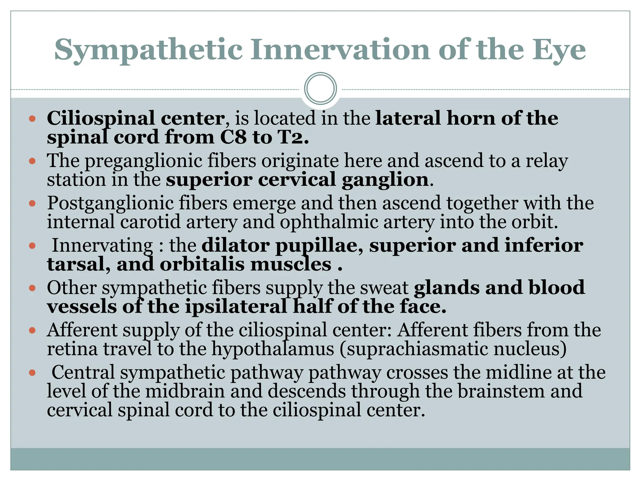 III, IV, VI Cranial nervess on the movement of eye | PPTX