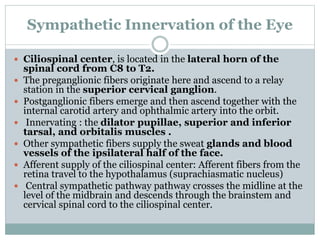 III, IV, VI Cranial nervess on the movement of eye | PPT