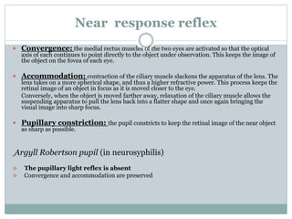 III, IV, VI Cranial nervess on the movement of eye | PPT