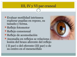 III, IV, VI Pares Craneales y oftalmoscopia | PPT