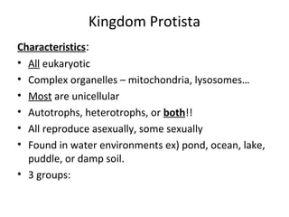 Kingdom Protista Characteristics