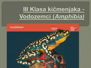 Klasa - Vodozemci razmnozavanje i podjela.ppt