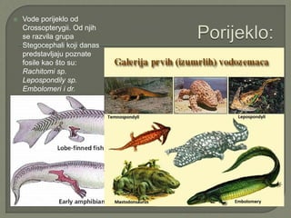 Klasa - Vodozemci razmnozavanje i podjela.ppt