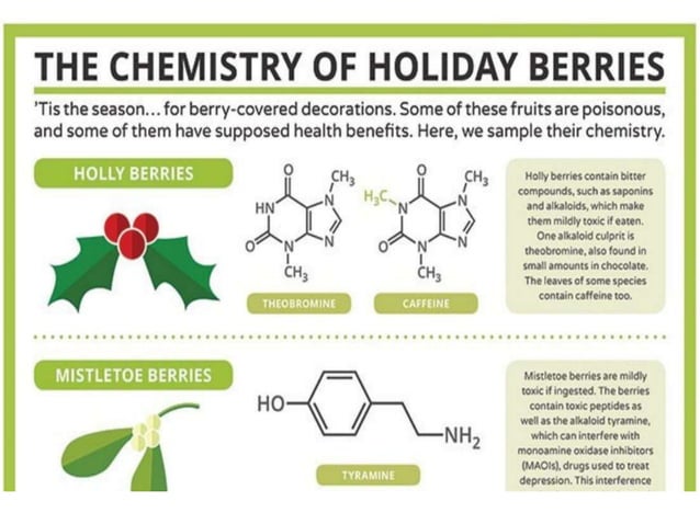 Can Mistletoe Help Treat Cancer? | PPTX