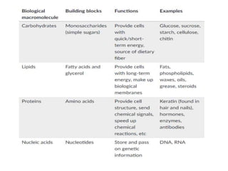 Macromolecules Examples