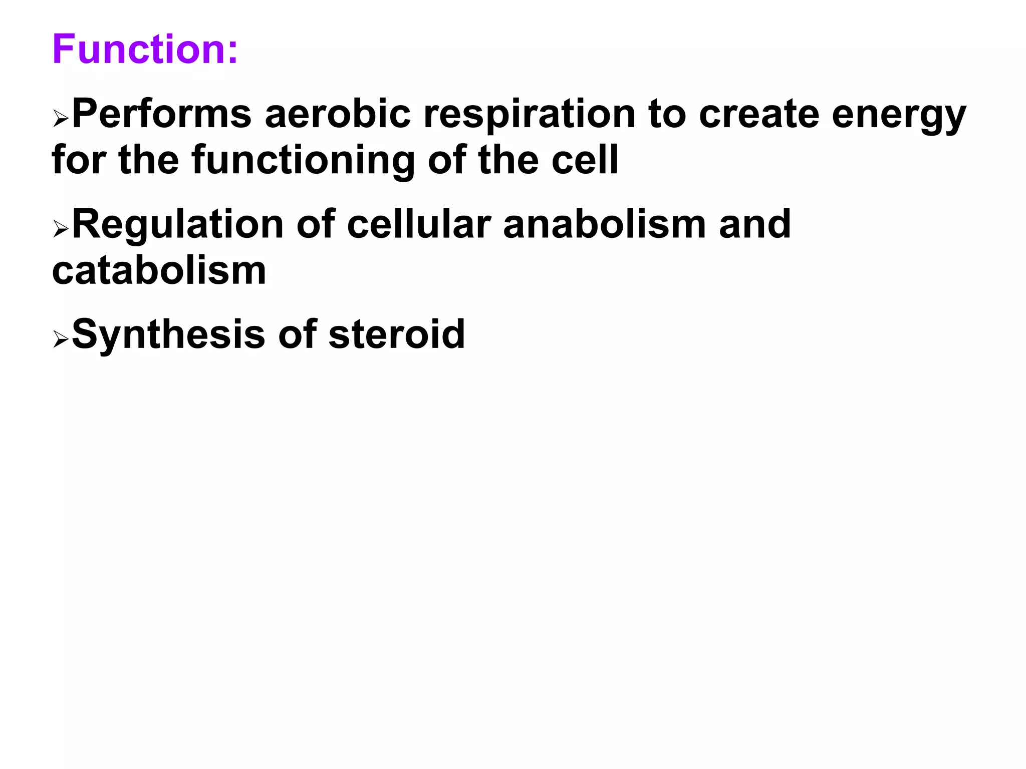 III Pharm.D - The Dynamic Cell - III Pharm.D - The Dynamic Cell ...