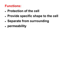III Pharm.D - The Dynamic Cell - III Pharm.D - The Dynamic Cell ...