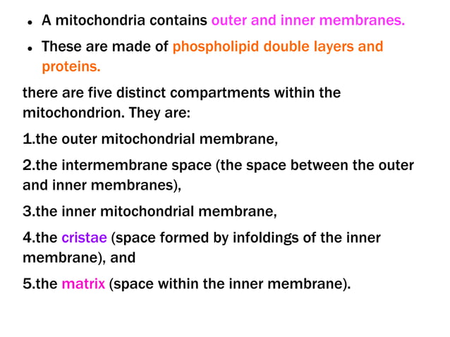 III Pharm.D - The Dynamic Cell - III Pharm.D - The Dynamic Cell ...