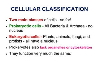 III Pharm.D - The Dynamic Cell - III Pharm.D - The Dynamic Cell ...