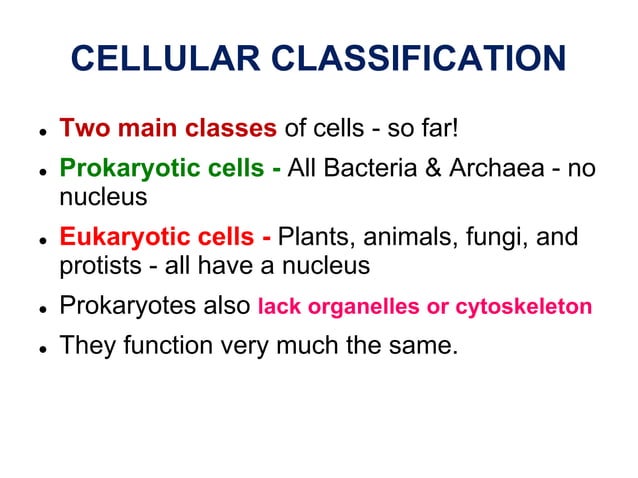 III Pharm.D - The Dynamic Cell - III Pharm.D - The Dynamic Cell ...