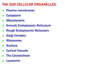 III Pharm.D - The Dynamic Cell - III Pharm.D - The Dynamic Cell ...