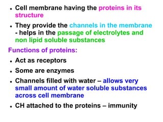 III Pharm.D - The Dynamic Cell - III Pharm.D - The Dynamic Cell ...