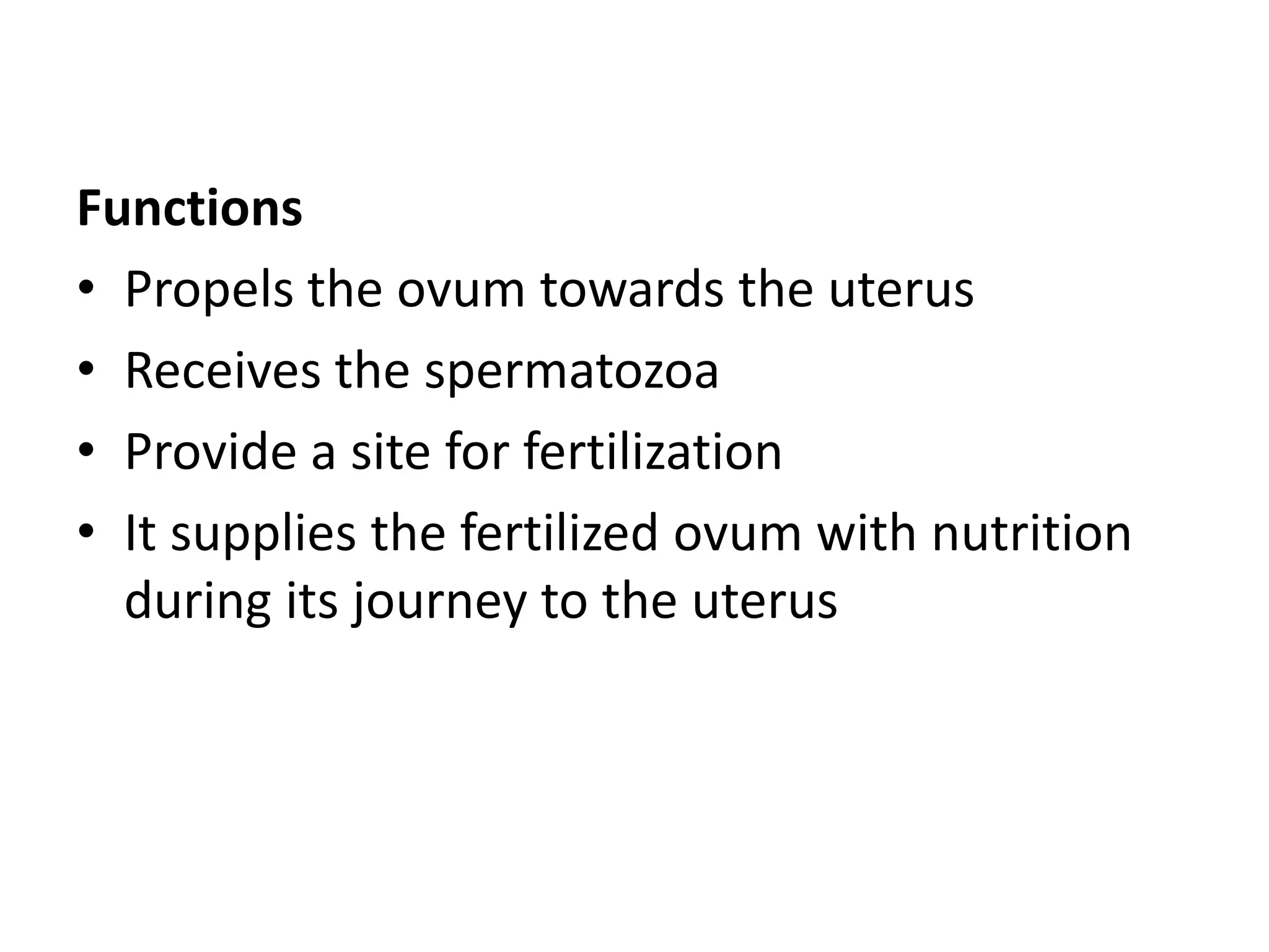 (iii) The internal Female Reproductive Organs (Fallopian Tube and ...